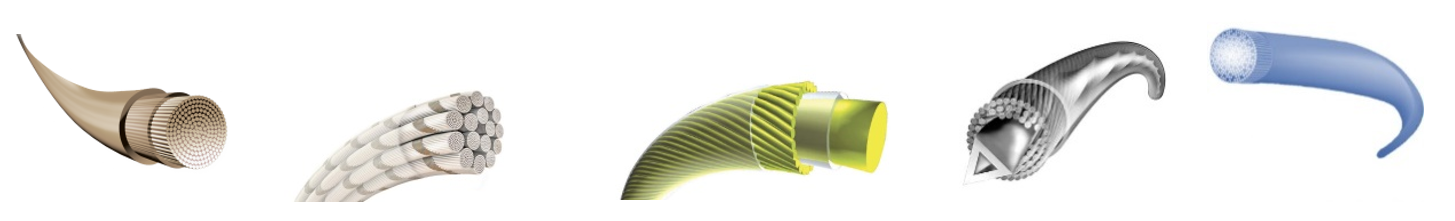 Le corde della racchetta da tennis dalla A alla Z. Tutto ciò che c'è da ...